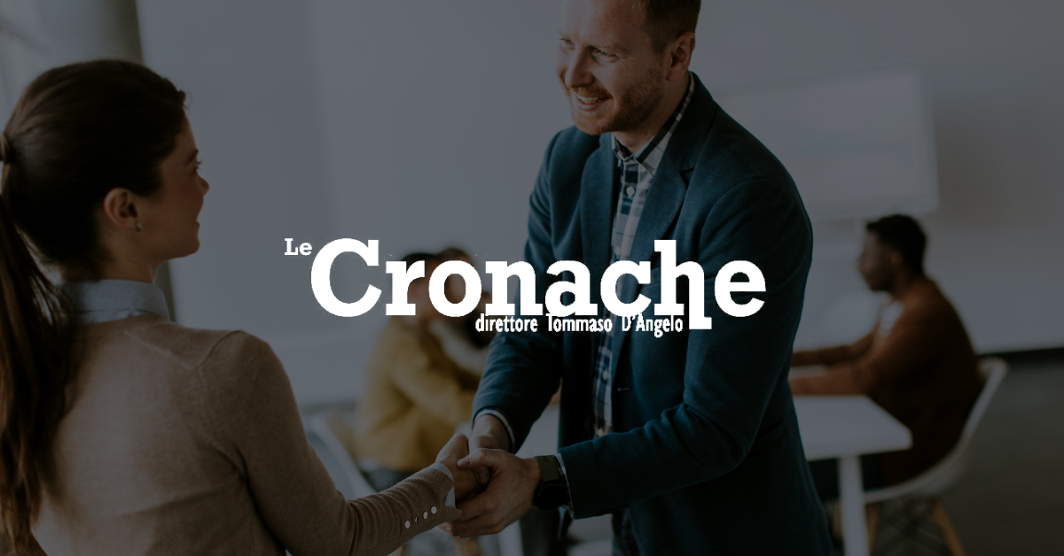 Le Cronache: Intervista ad Alfonso Angrisani, Orientatore Asnor